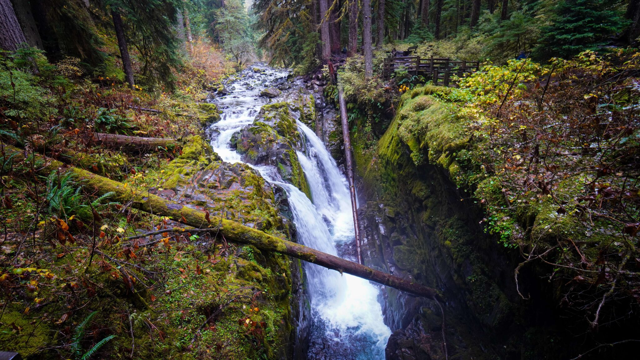 Olympic National Park Entrances